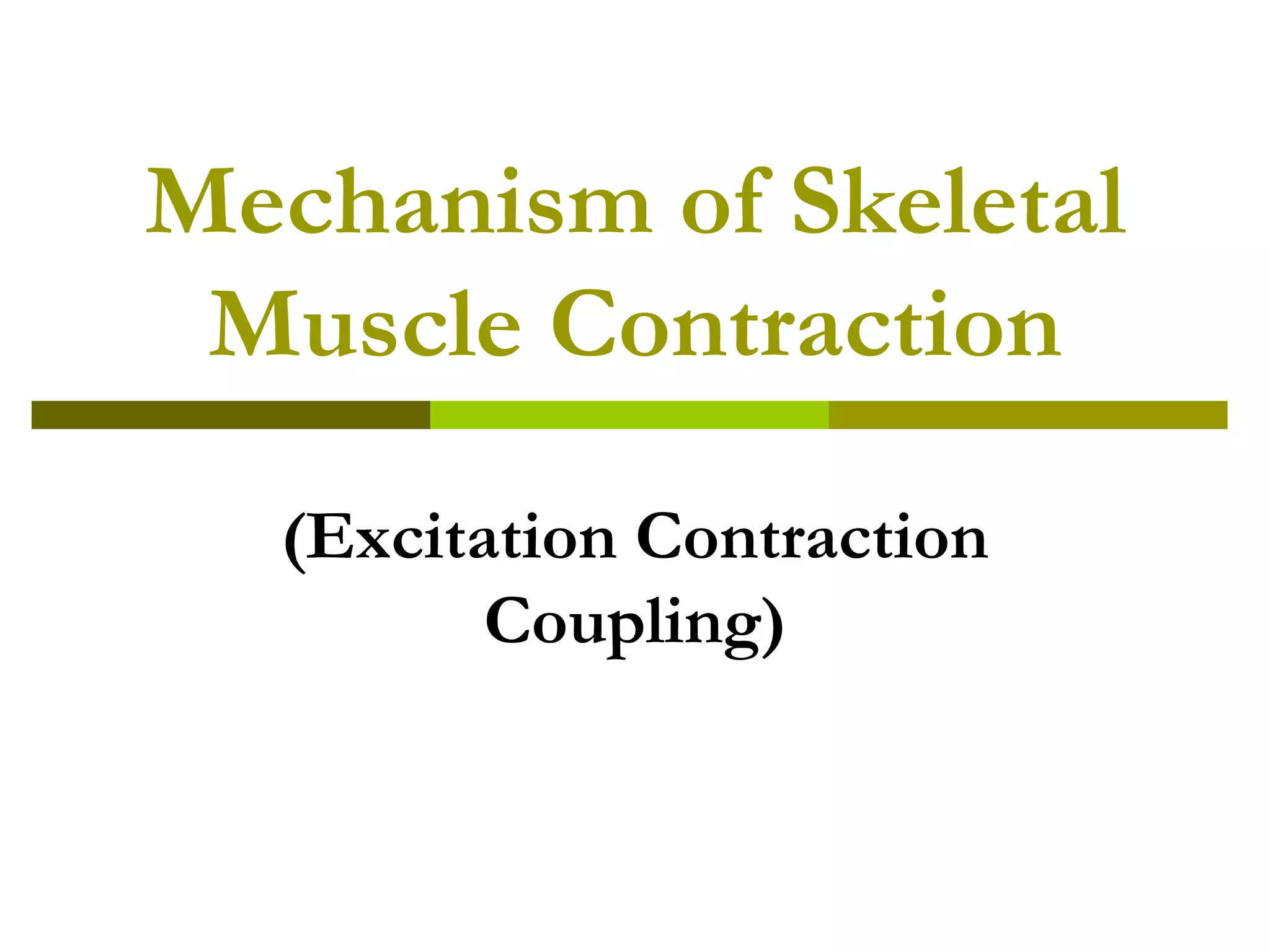 Excitation - Contraction coupling | PPTX
