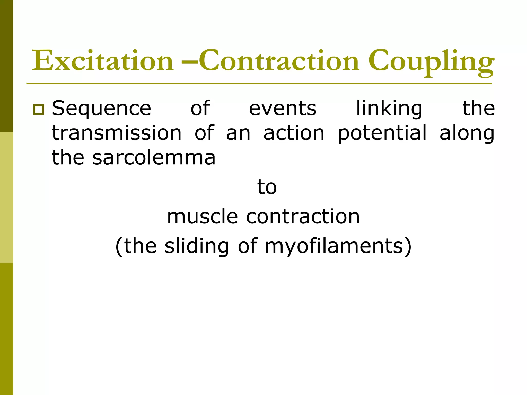Excitation - Contraction coupling | PPTX