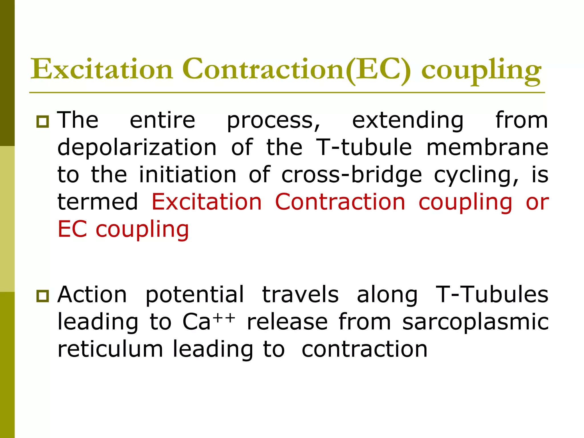 Excitation - Contraction coupling | PPTX