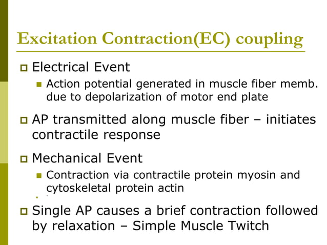 Excitation - Contraction coupling | PPTX | Biological Sciences | Science
