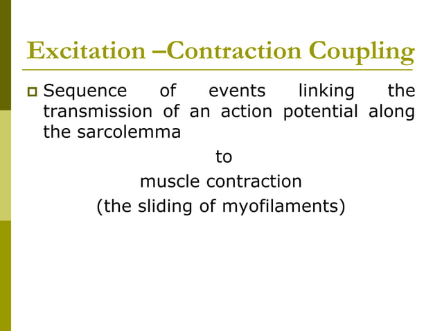 Excitation - Contraction coupling | PPTX | Biological Sciences | Science