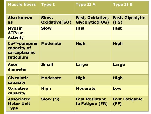 Fiber types, energy sources