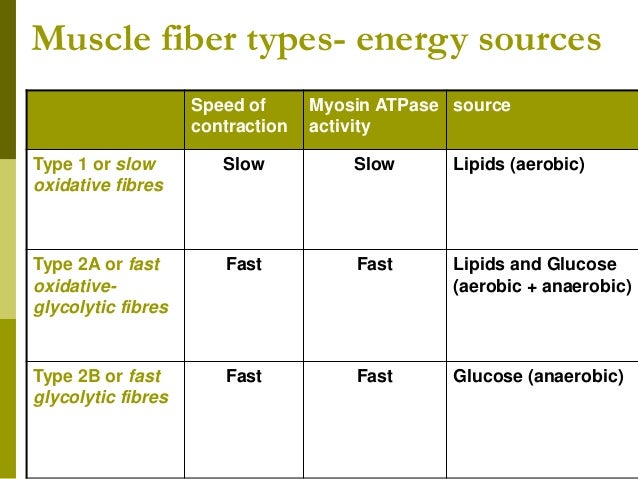 Fiber types, energy sources