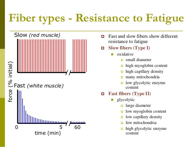 Fiber types, energy sources