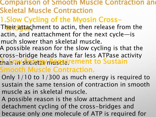 muscle7-smoothmuscle-180414110808.pptx