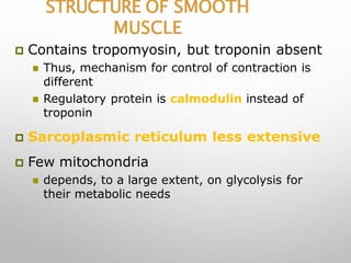 muscle7-smoothmuscle-180414110808.pptx