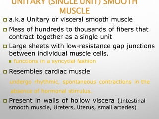 muscle7-smoothmuscle-180414110808.pptx