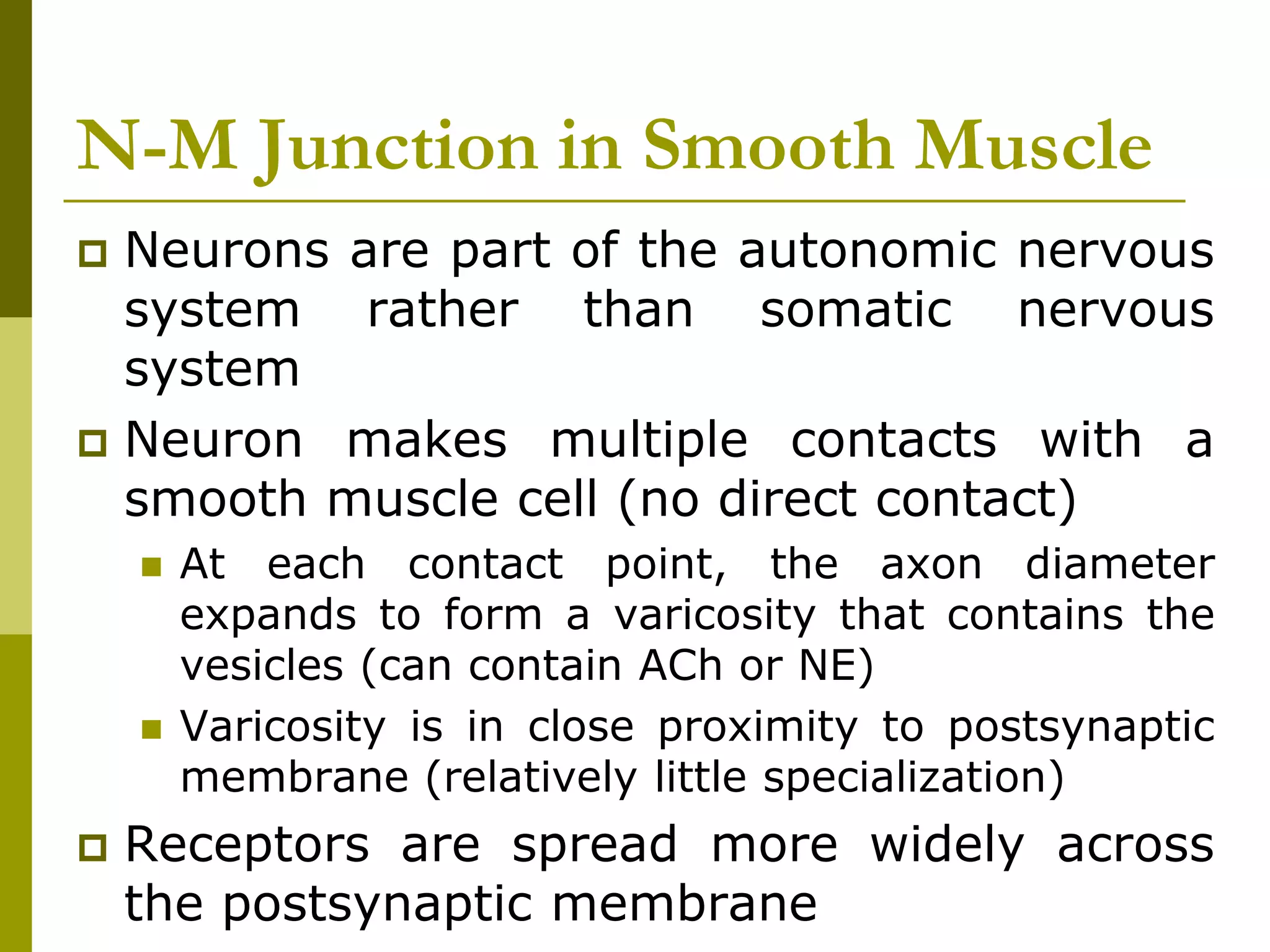 Smooth Muscles | PPTX