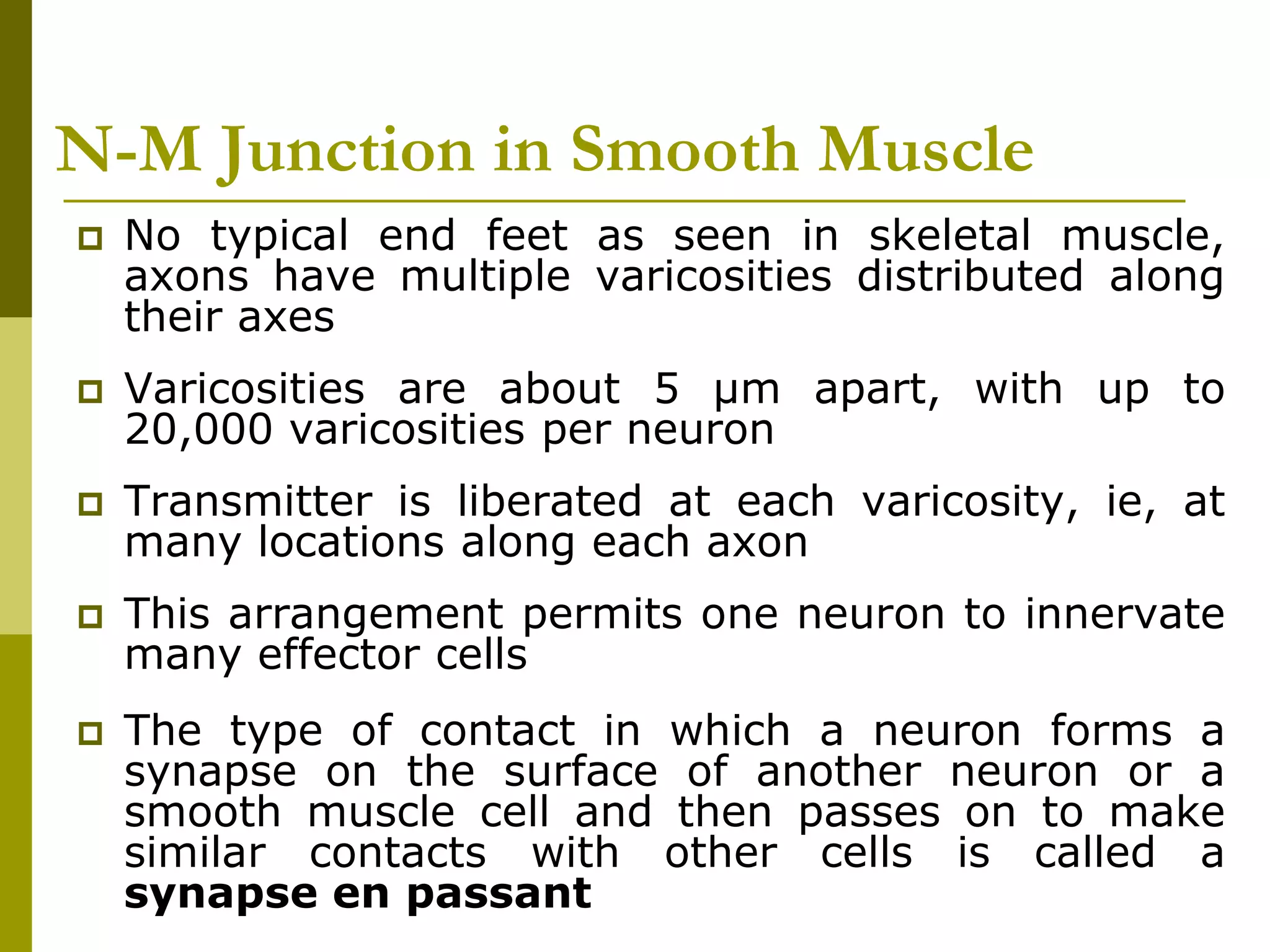 Smooth Muscles | PPTX
