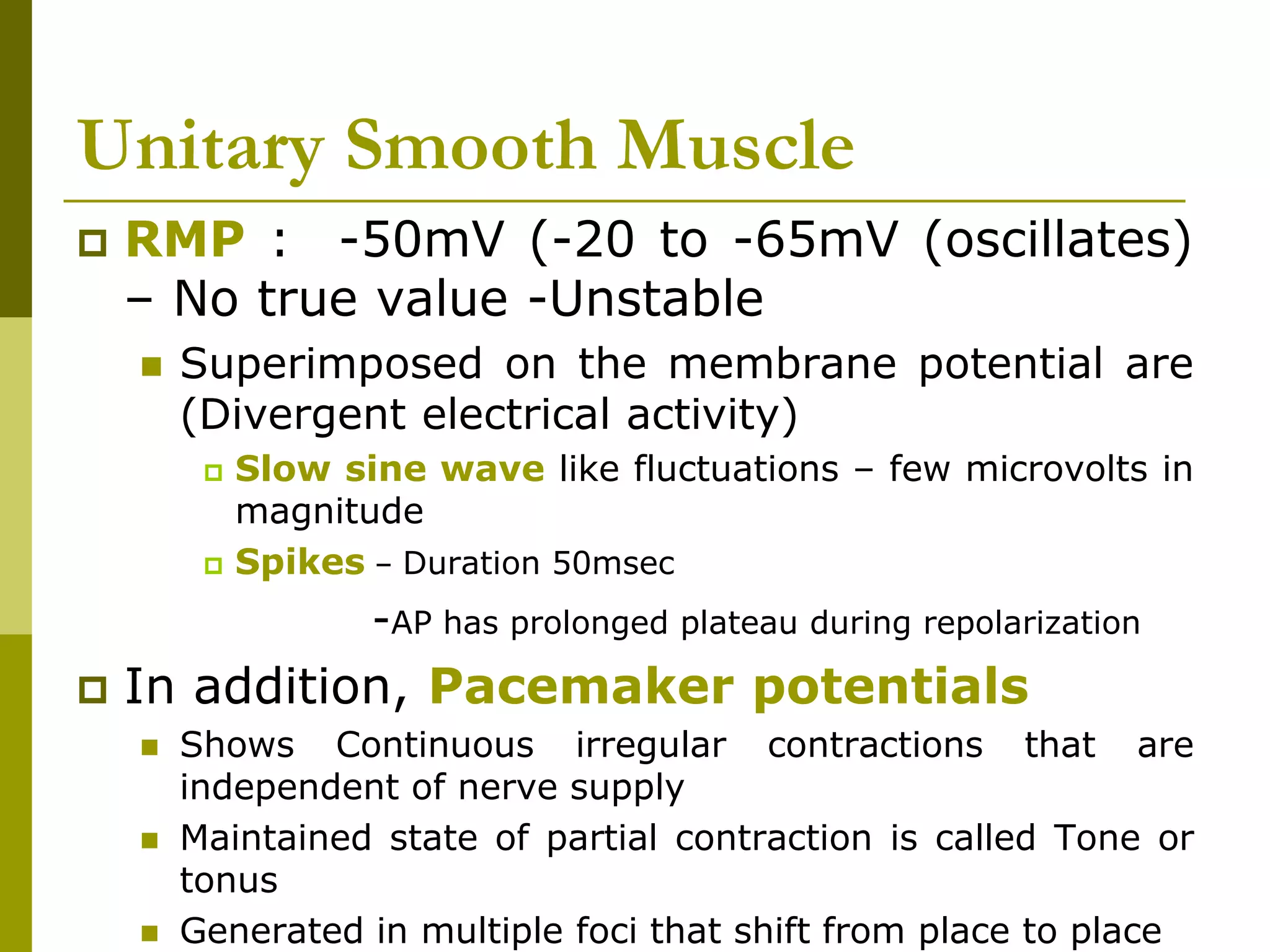 Smooth Muscles | PPTX