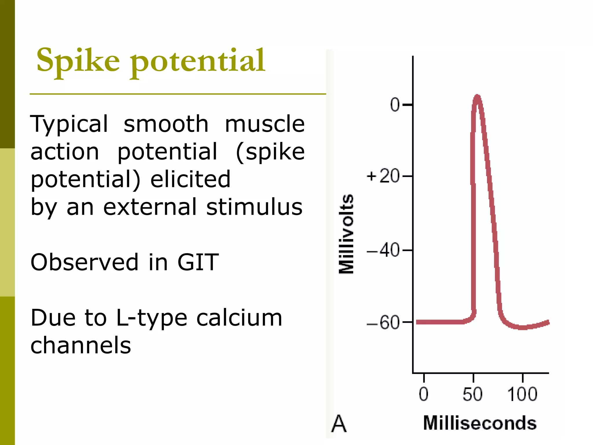 Smooth Muscles | PPTX