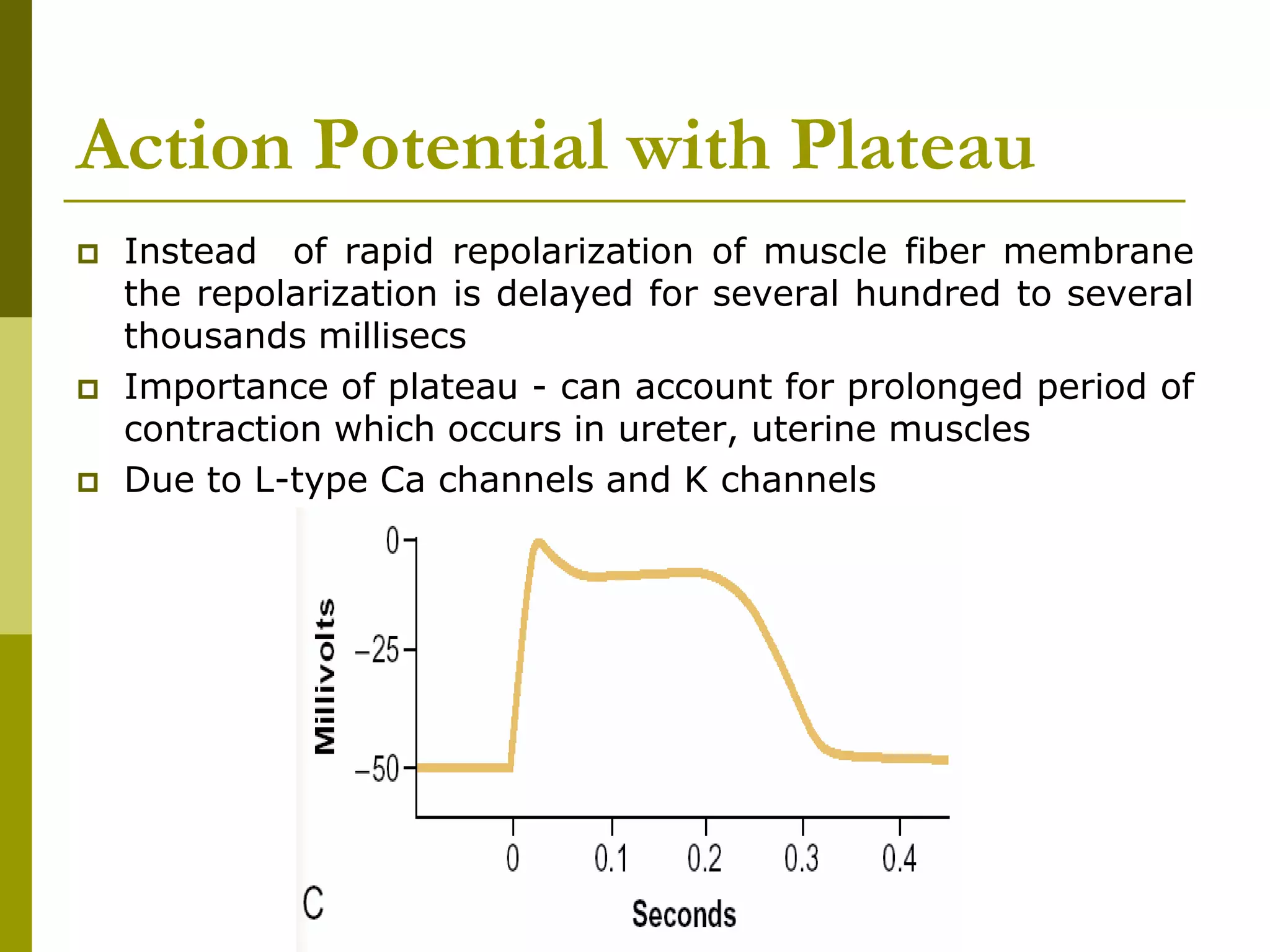 Smooth Muscles | PPTX
