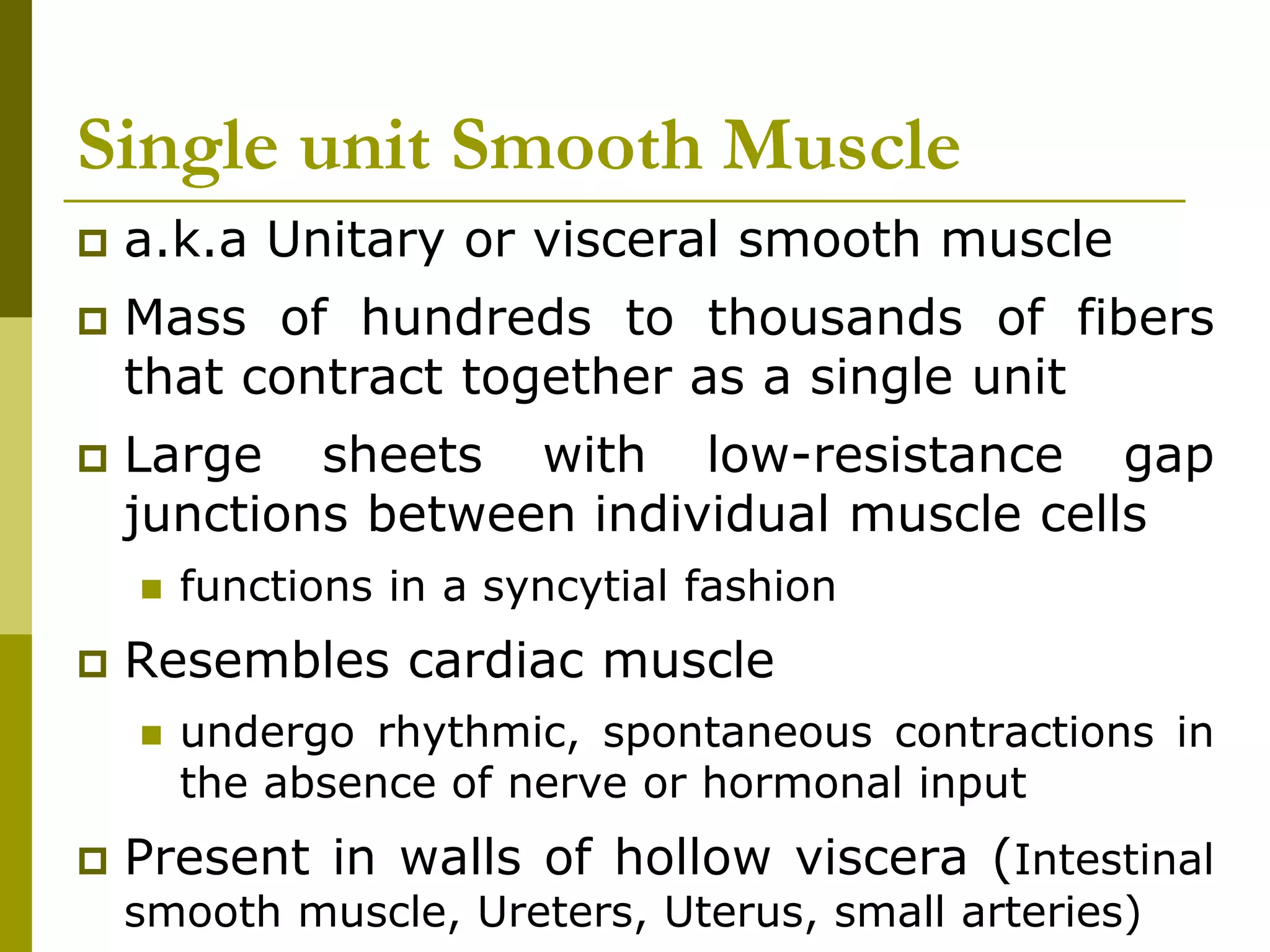 Smooth Muscles | PPTX
