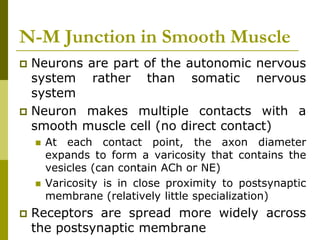 Smooth Muscles | PPTX