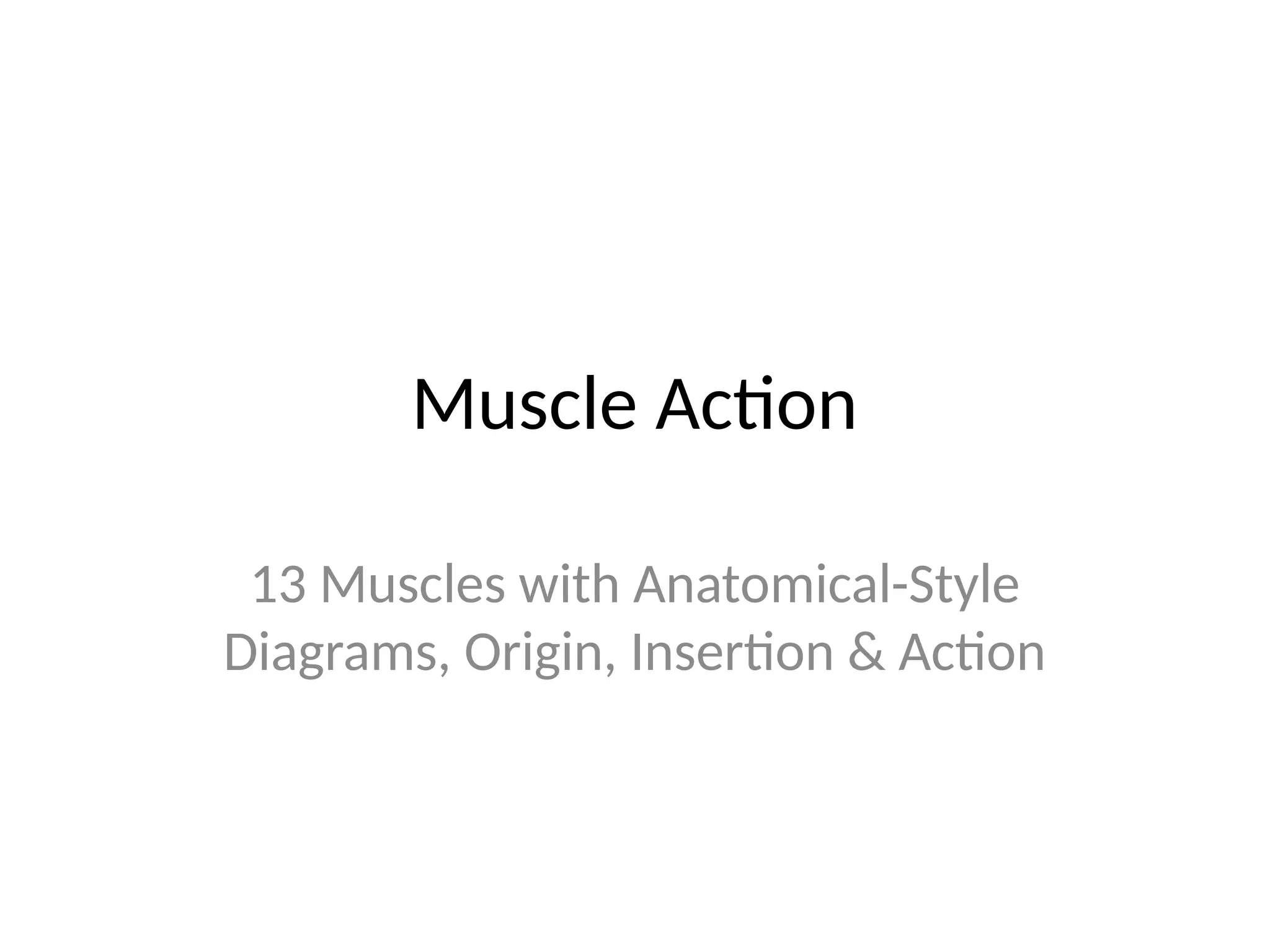 Muscle_Action_Anatomical_Diagrams.pptx123 | PPTX