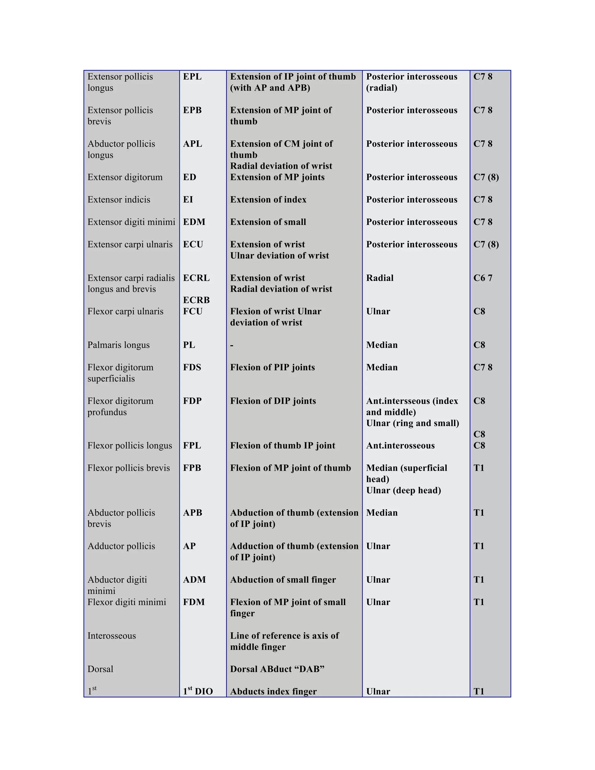 Muscle Anatomy of the Arm | PDF