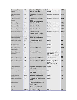 Muscle Anatomy of the Arm | PDF | Death, Injury, or Military Conflict ...