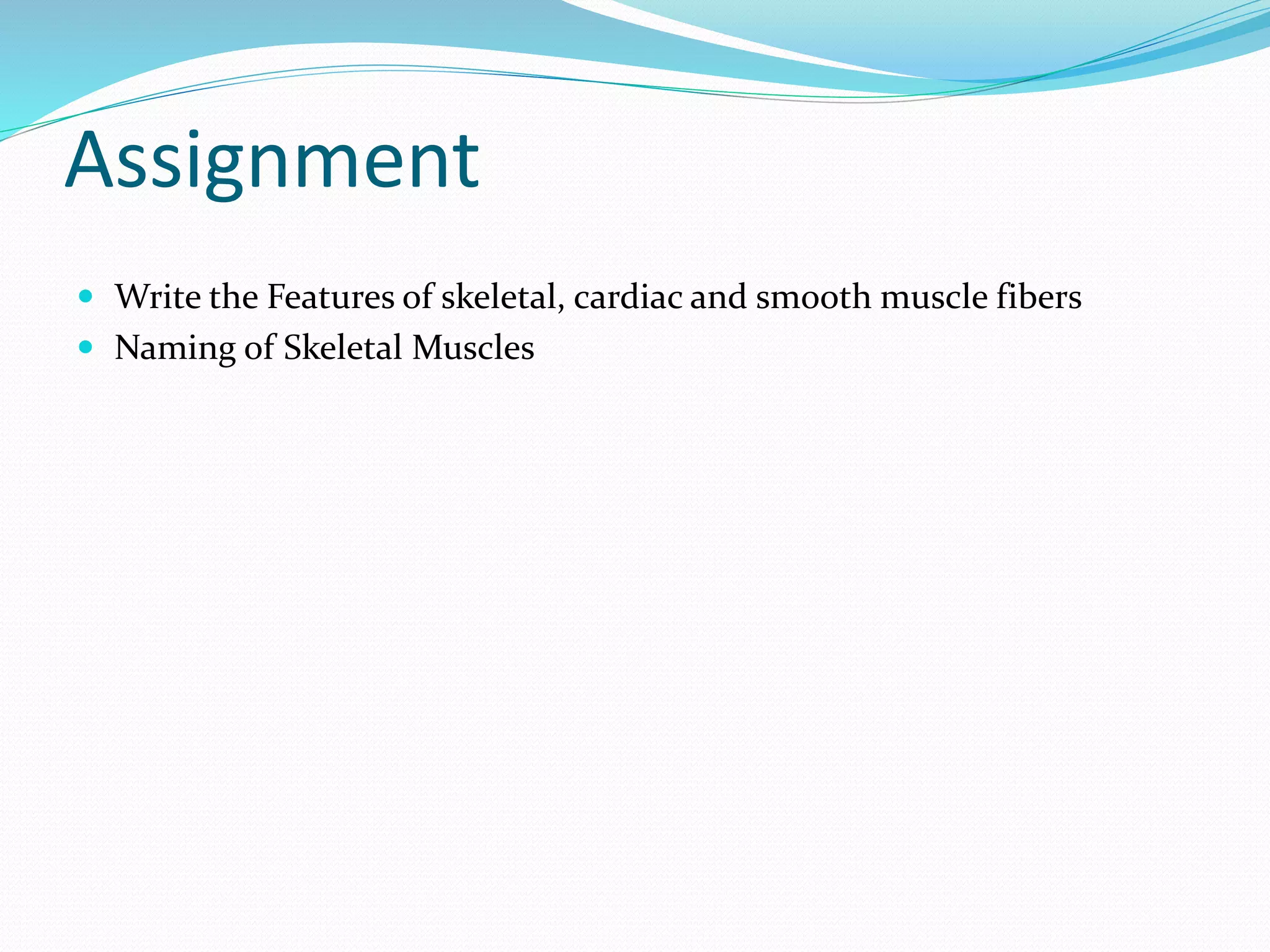 Muscle anatomy | PPT