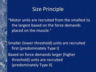 Muscle Anatomy 101 Pt2 | PPT