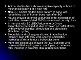 Muscle and bone plasticity after spinal cord injury | PPT