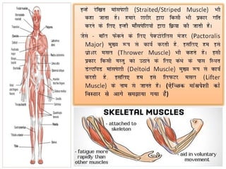 Muscle and its types by Dr. S. N. Singh | PPT
