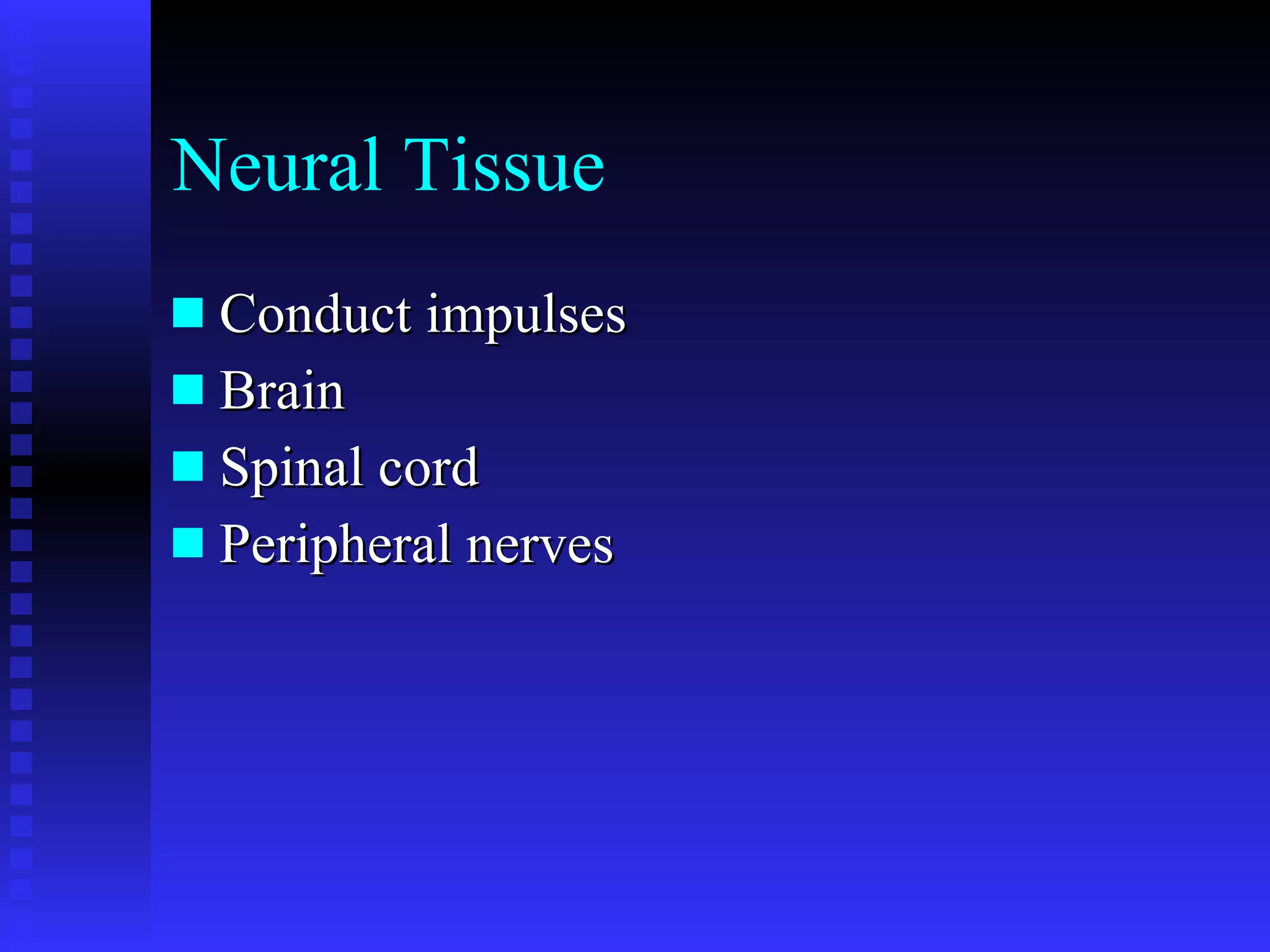 Muscle and neural tissues | PPT | Computer Peripherals | Computing