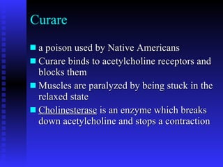 Muscle and neural tissues | PPT | Computer Peripherals | Computing