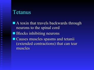 Muscle and neural tissues | PPT | Computer Peripherals | Computing