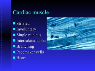 Muscle and neural tissues | PPT | Computer Peripherals | Computing