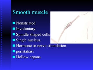 Muscle and neural tissues | PPT | Computer Peripherals | Computing