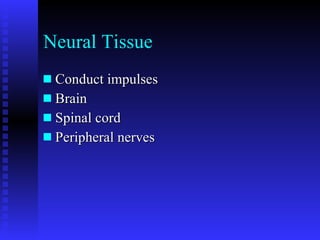 Muscle and neural tissues | PPT | Computer Peripherals | Computing