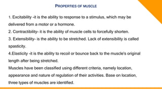 MUSCLE AND TYPES OF MUSCLES.pptx