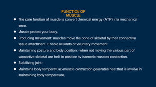 MUSCLE AND TYPES OF MUSCLES.pptx