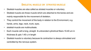 MUSCLE AND TYPES OF MUSCLES.pptx