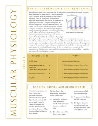 Muscle artifact | PDF