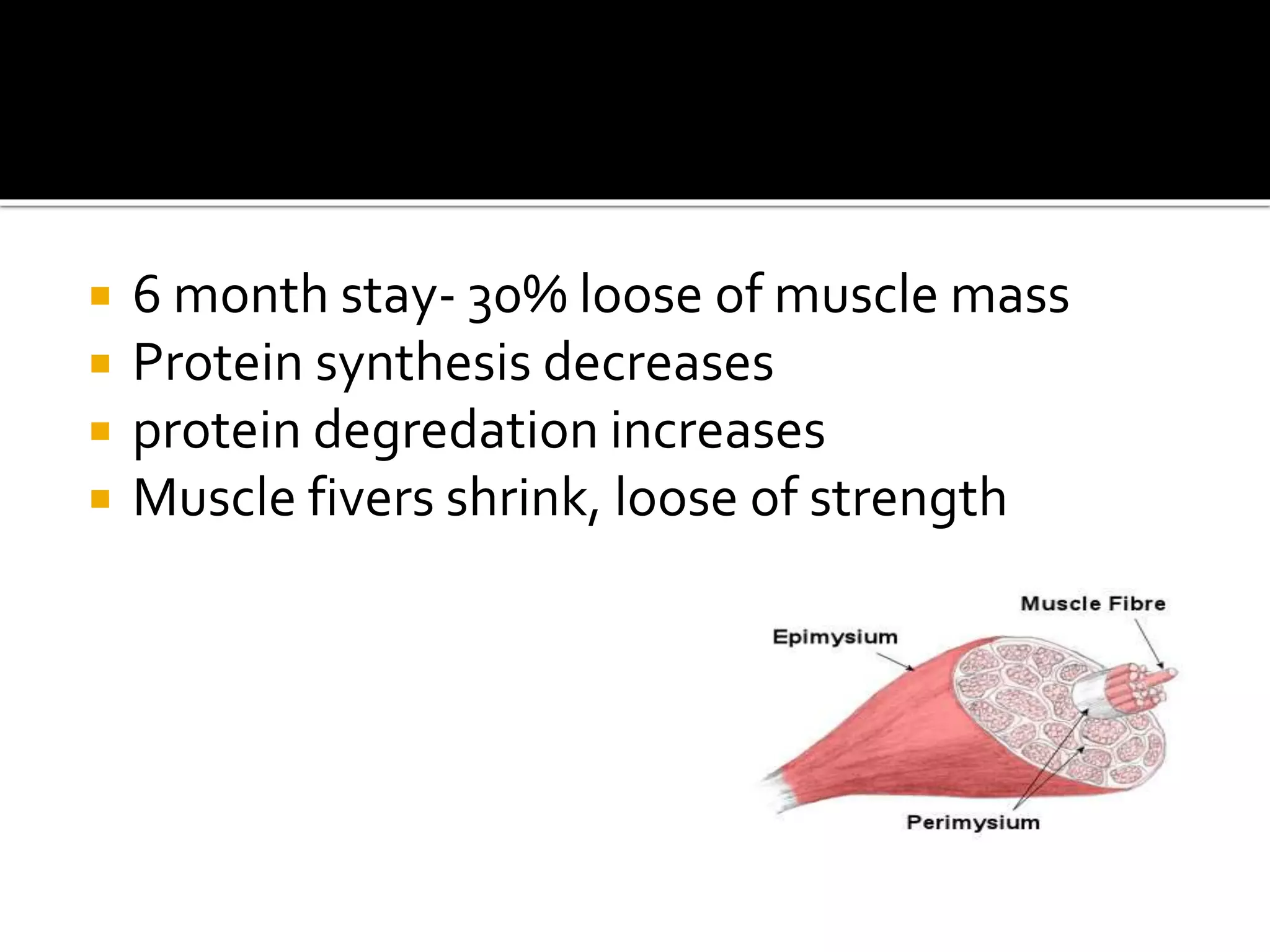 Muscle Atrophy on Astronauts | PPT