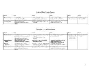 Muscle Attachment Table (Compartment Wise) | PPT