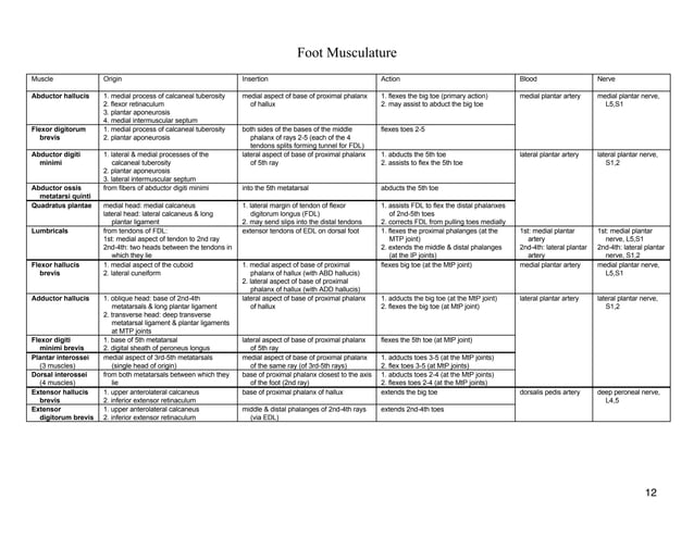 Muscle Attachment Table (Compartment Wise) | PPT