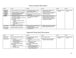 Muscle Attachment Table (Compartment Wise) | PDF