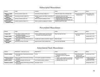 Muscle Attachment Table (Compartment Wise) | PDF