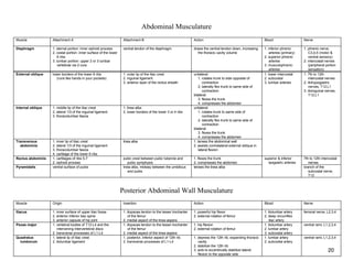 Muscle Attachment Table (Compartment Wise) | PPT