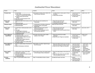Muscle Attachment Table (Compartment Wise) | PDF