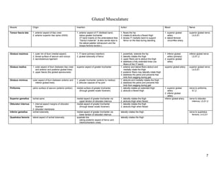 Muscle Attachment Table (Compartment Wise) | PPT