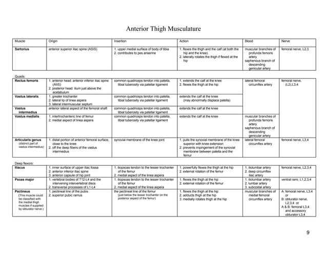 Muscle Attachment Table (Compartment Wise) | PPT