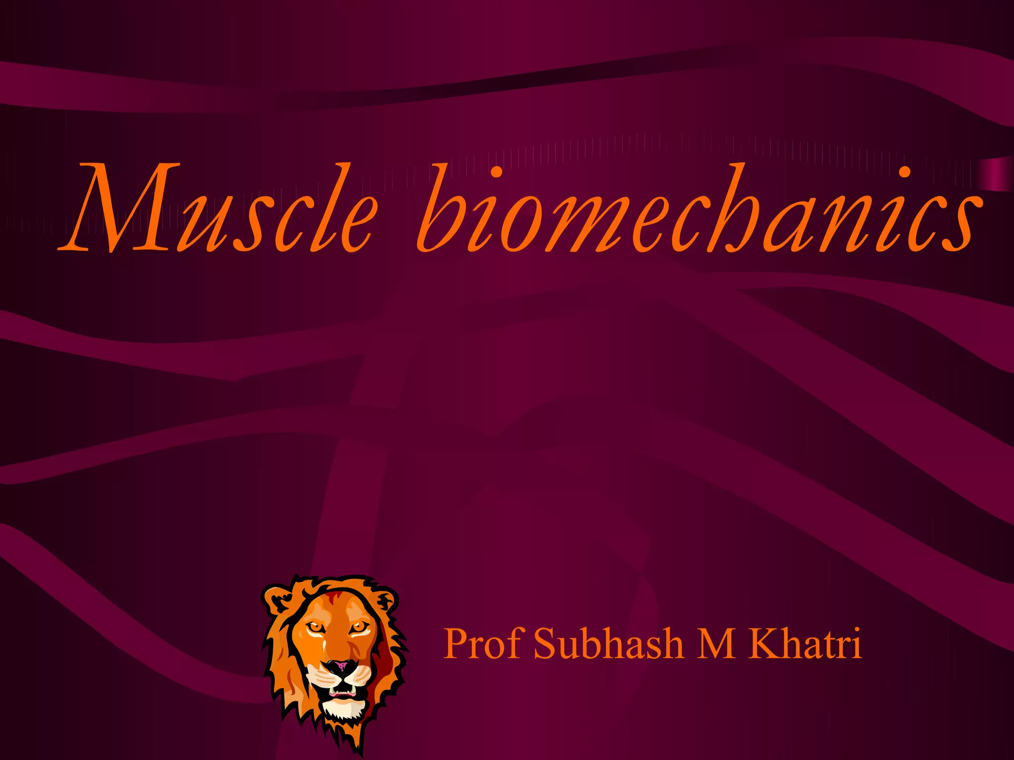 Muscle biomechanics | PPT