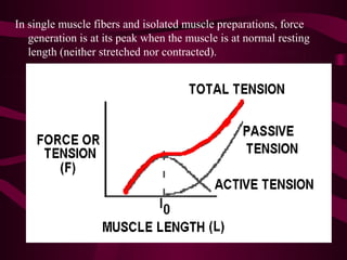 Muscle biomechanics | PPT