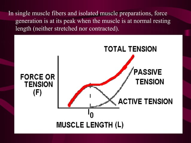 Muscle biomechanics | PPT | Physical Therapy | Wellness
