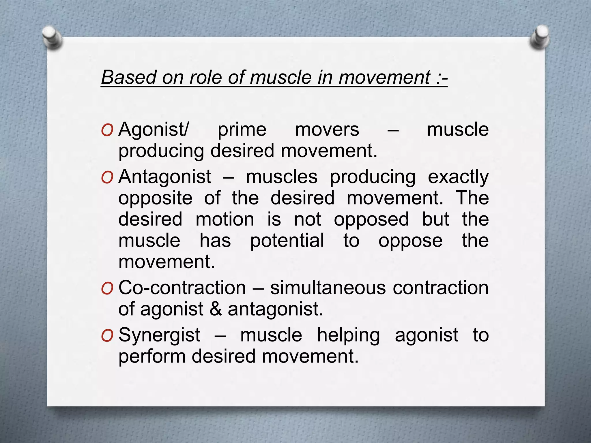Muscle biomechanics | PPTX