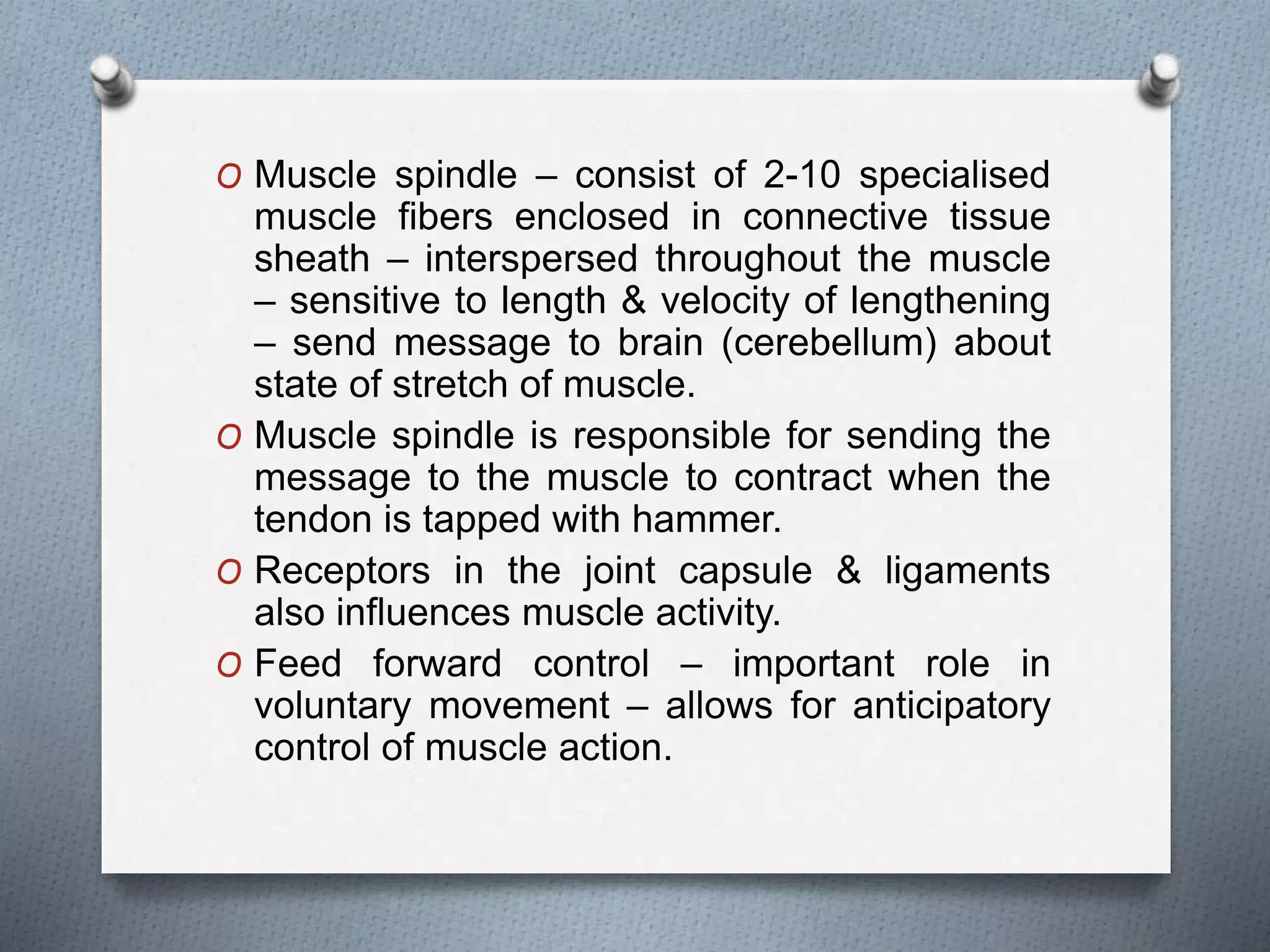 Muscle biomechanics | PPTX