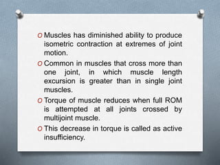 Muscle biomechanics | PPTX